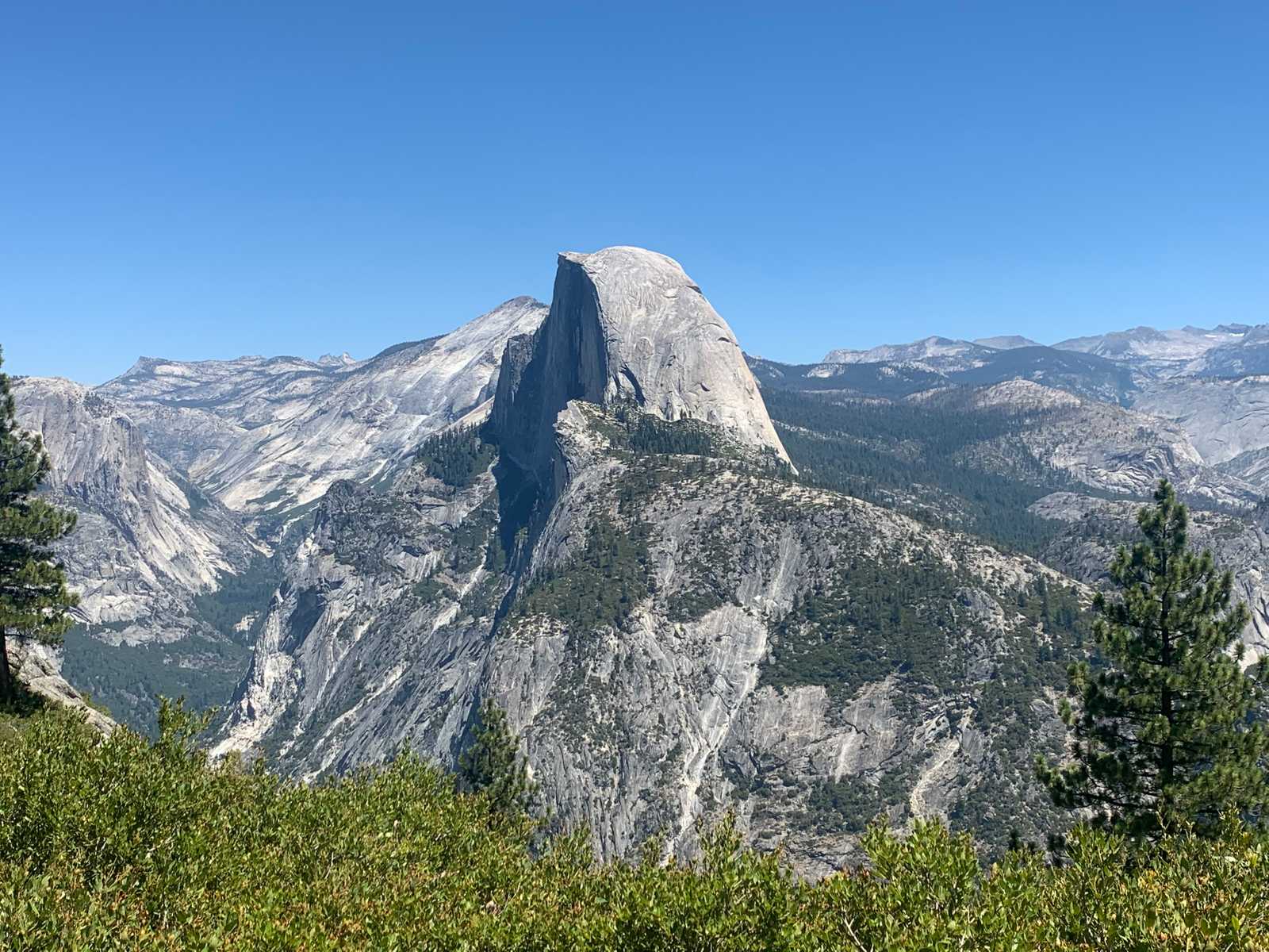 Michael Cardillo's Portfolio